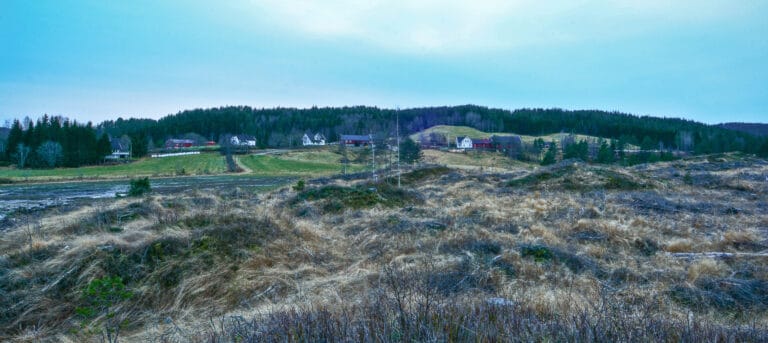 Setesdalssida - Setesdalssida